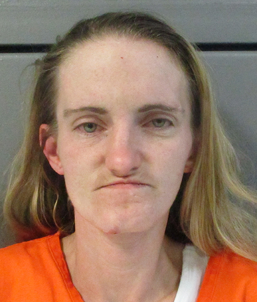 Woman facing another charge | News, Sports, Jobs - The Intermountain